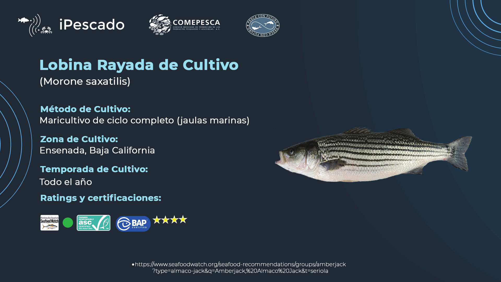 Fichas técnicas - iPescado